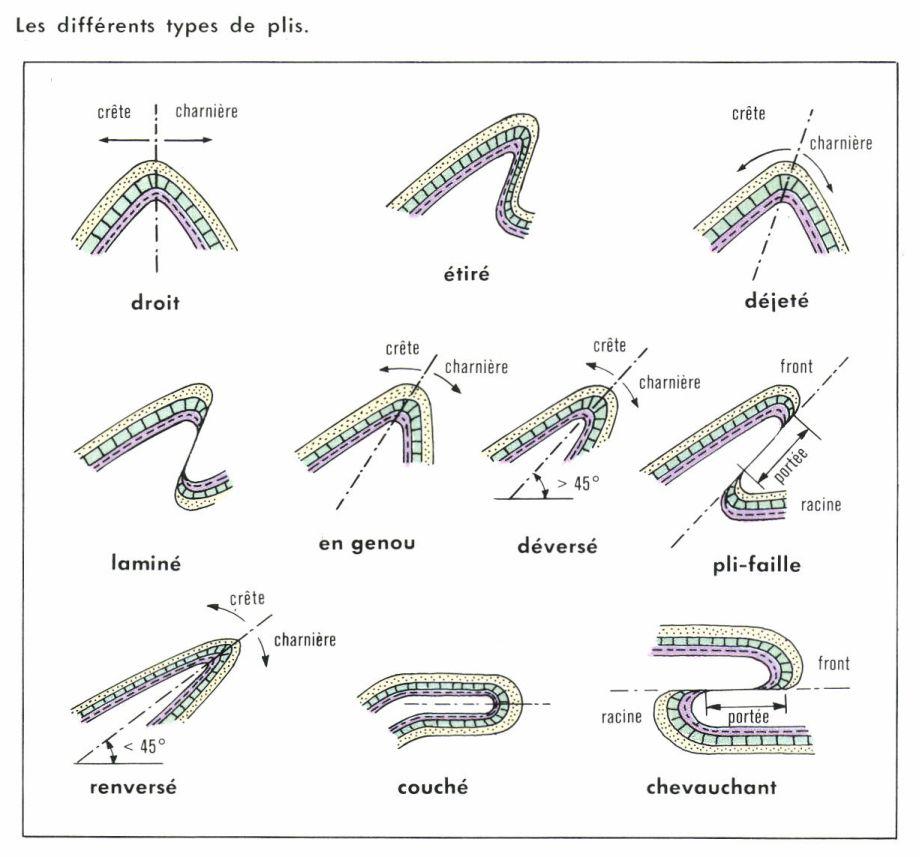 plis – SVT au lycée
