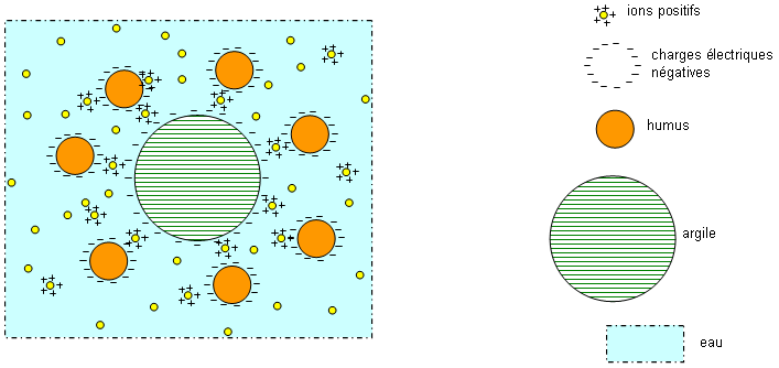 Caractéristiques des sols et production de biomasse – SVT au lycée